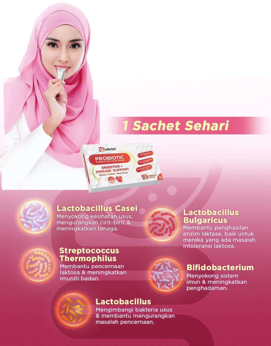 Labrich Malaysia HQ