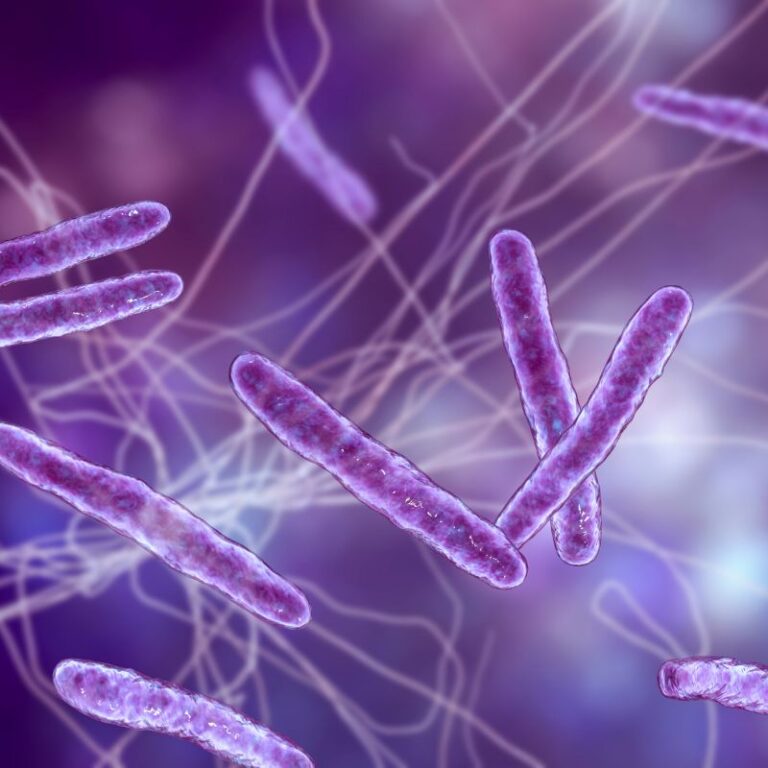 Probiotic By Labrich – Labrich Malaysia HQ